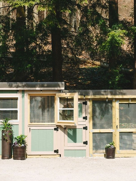 Urban Chicken Coop | Cutest Coops – Cutest Coops, LLC.